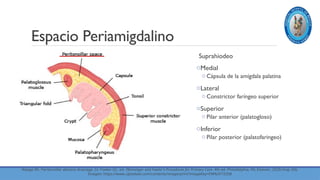 Abordaje de absceso amigdalino en pediatria | PPTX