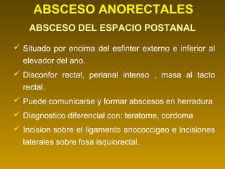 Anatomia Do Abscesso Anorretal