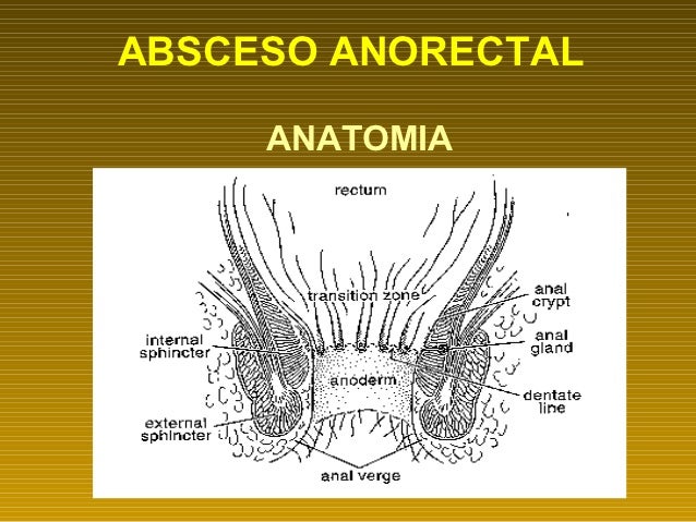 Absceso anorectal dr miranda