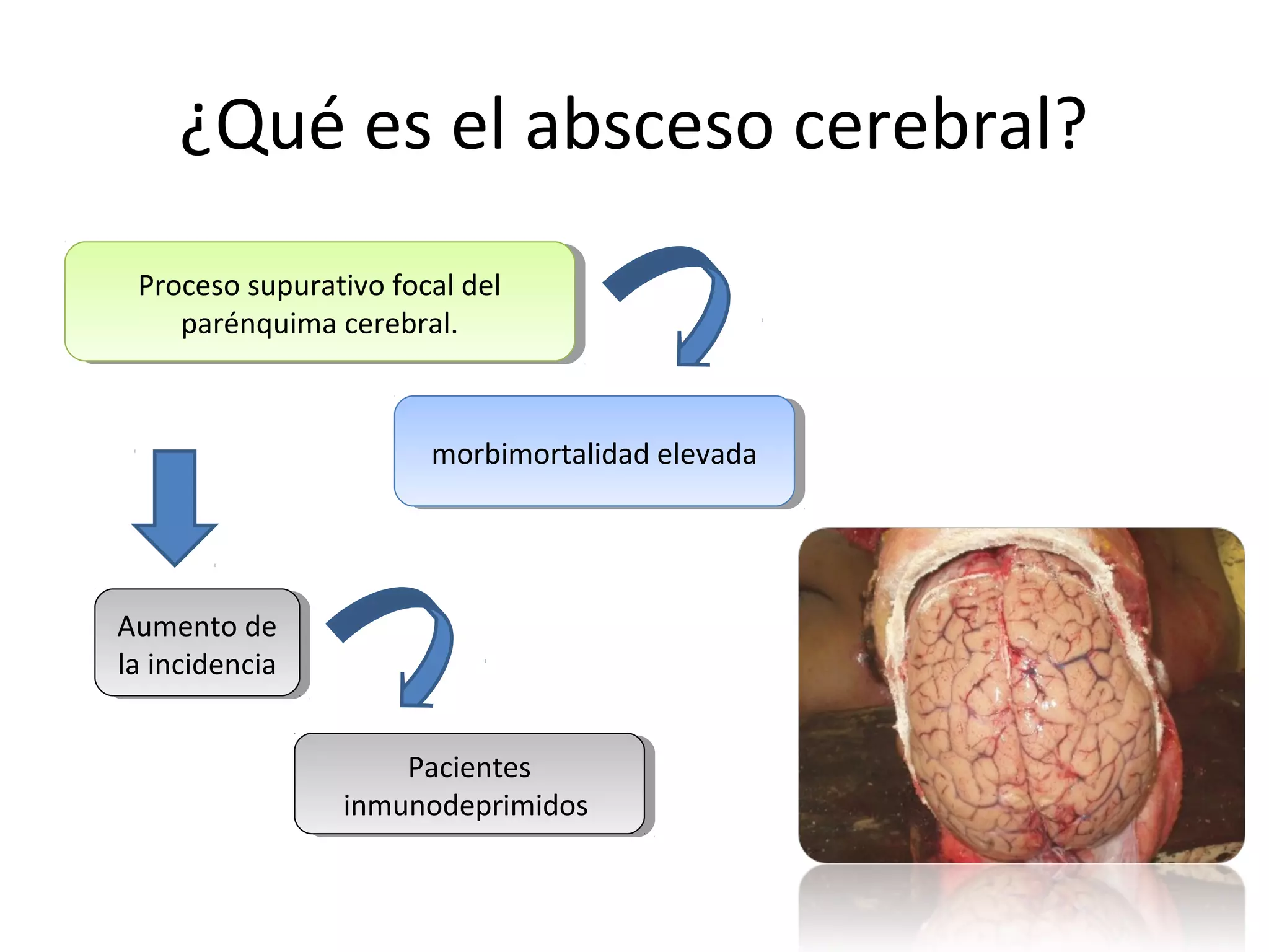 Absceso cerebral | PPT