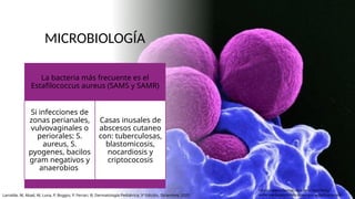 ABSCESO CUTANEO.ptx infecciones cutaneas | PPTX