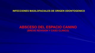 ABSCESO DEL ESPACIO CANINO | PPTX