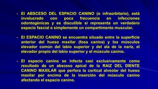 ABSCESO DEL ESPACIO CANINO | PPTX