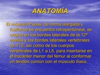 Absceso Del Psoas | PPTX