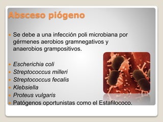 Absceso hepatico | PPTX