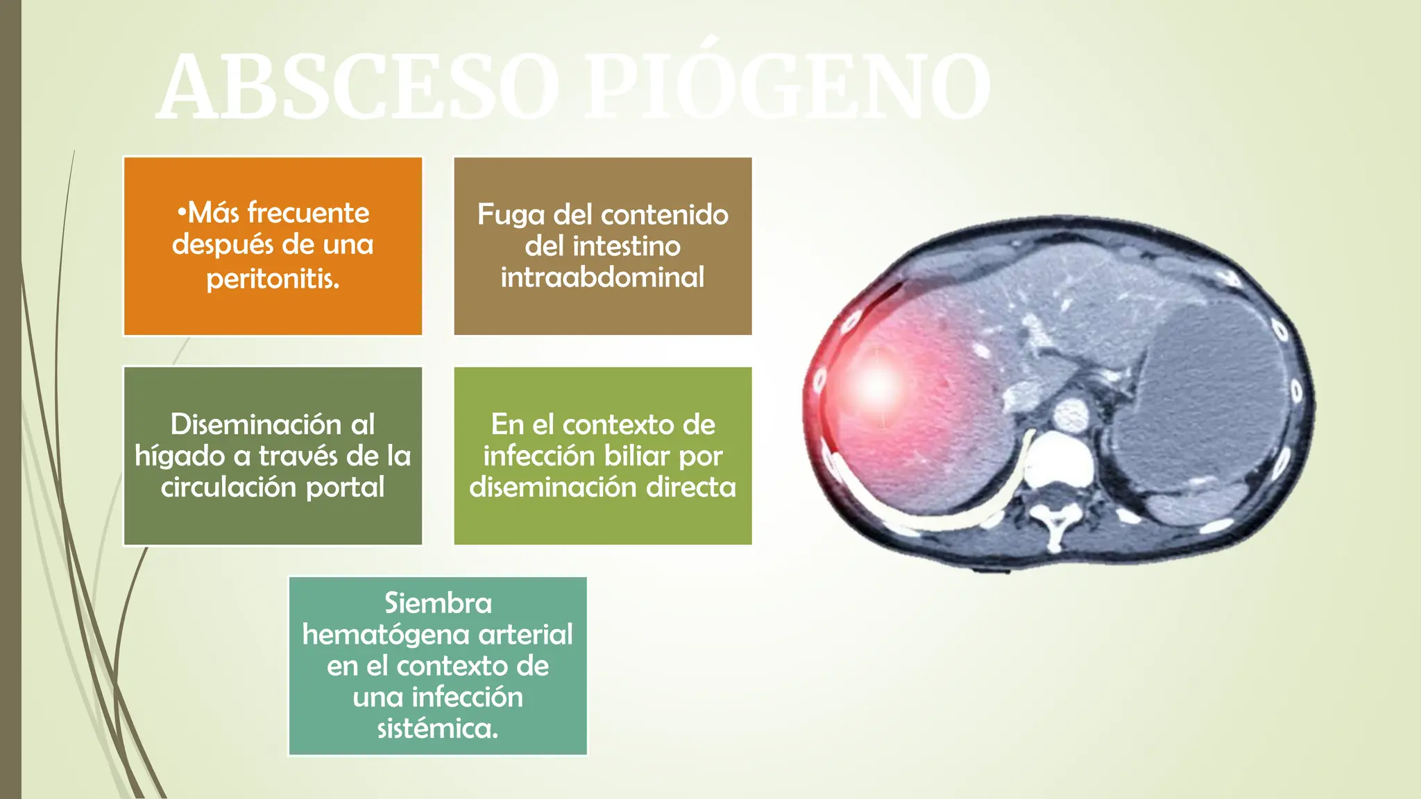 ABSCESO HEPATICO en cirugia presentacion.pptx