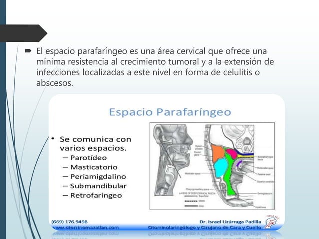 Absceso parafaringeo, OTORRINOLARINGOLOGIA