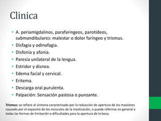 Abscesos de cuello | PDF