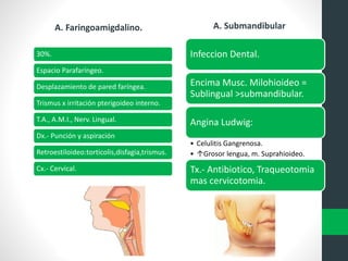 Abscesos de cuello | PDF