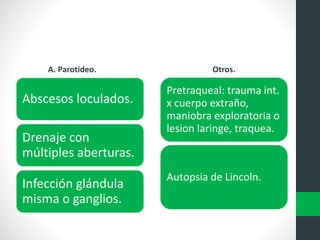 Abscesos de cuello | PDF