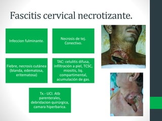 Abscesos de cuello | PDF