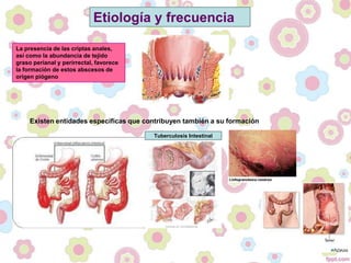 Abscesos y fistulas anorrectales | PPTX
