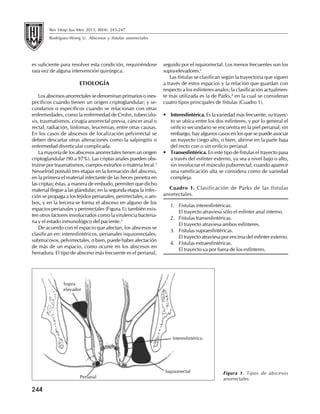 Abscesos y fístulas anorrectales | PDF