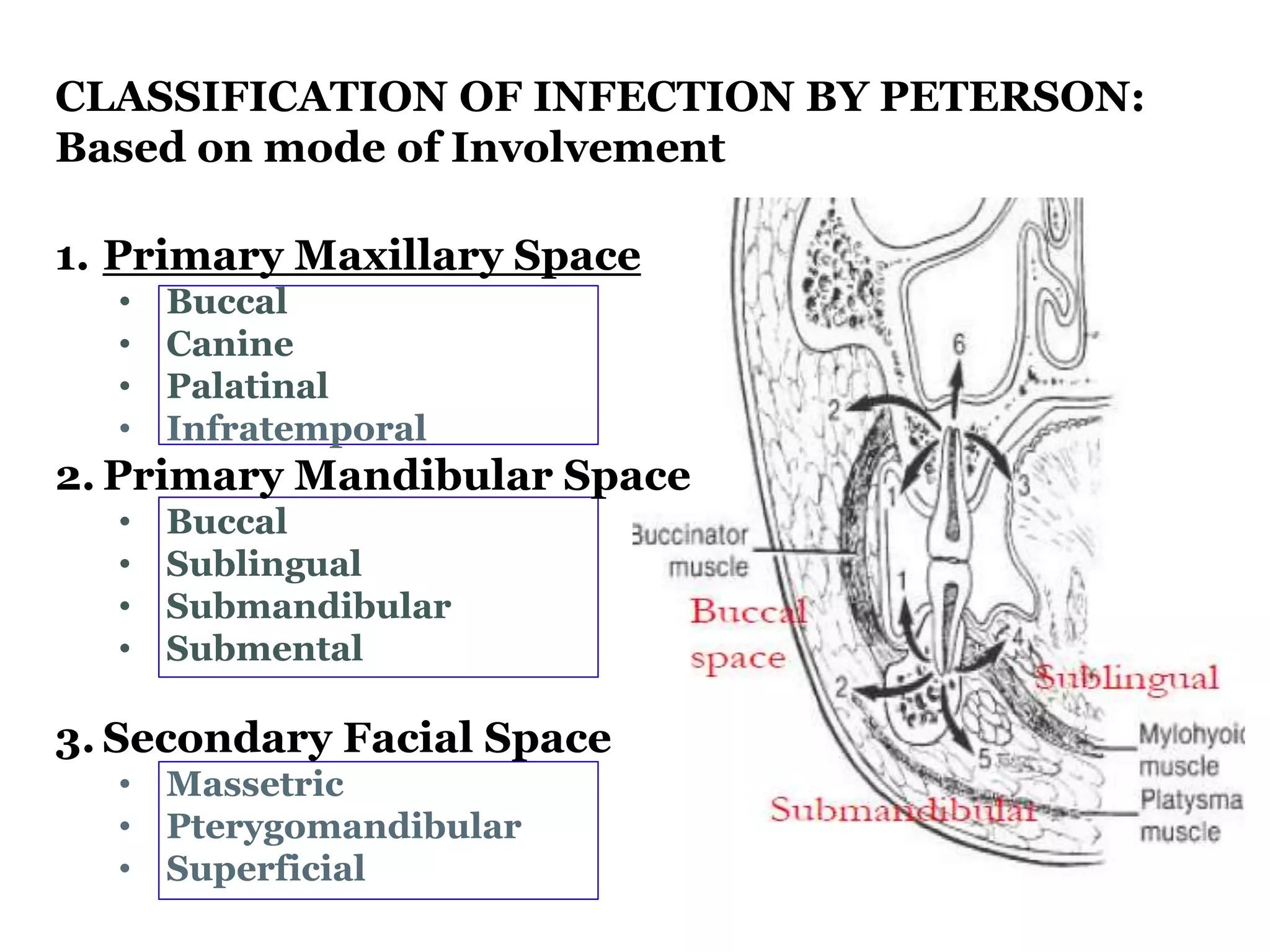 Abscess oral maxillo-presentation | PPTX