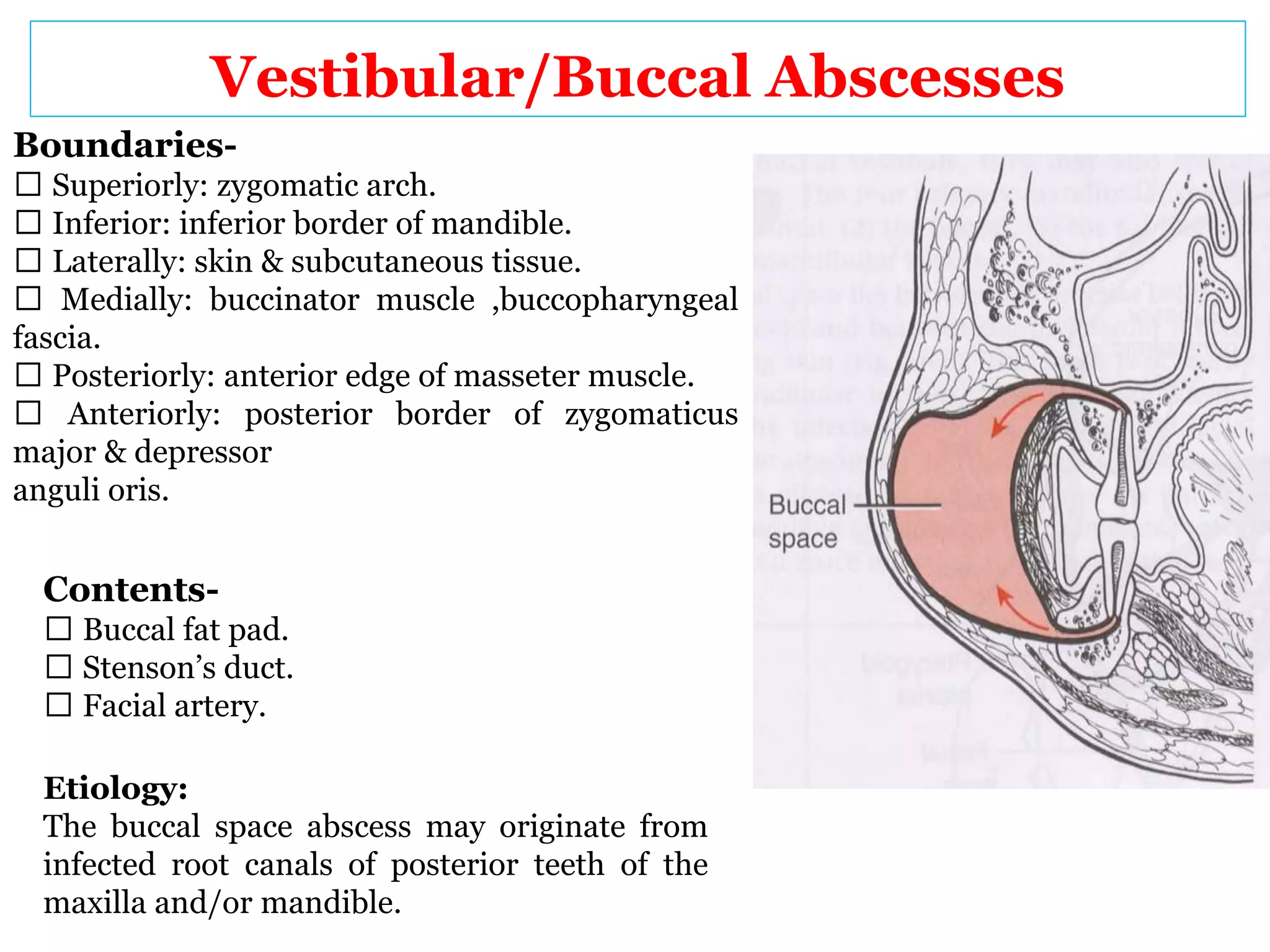Abscess oral maxillo-presentation | PPTX