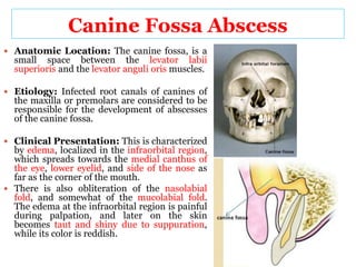 Abscess oral maxillo-presentation | PPTX