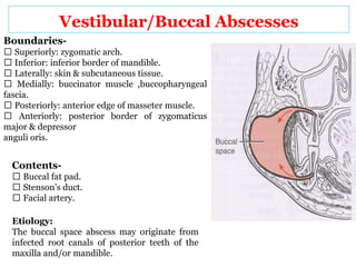 Abscess oral maxillo-presentation | PPTX