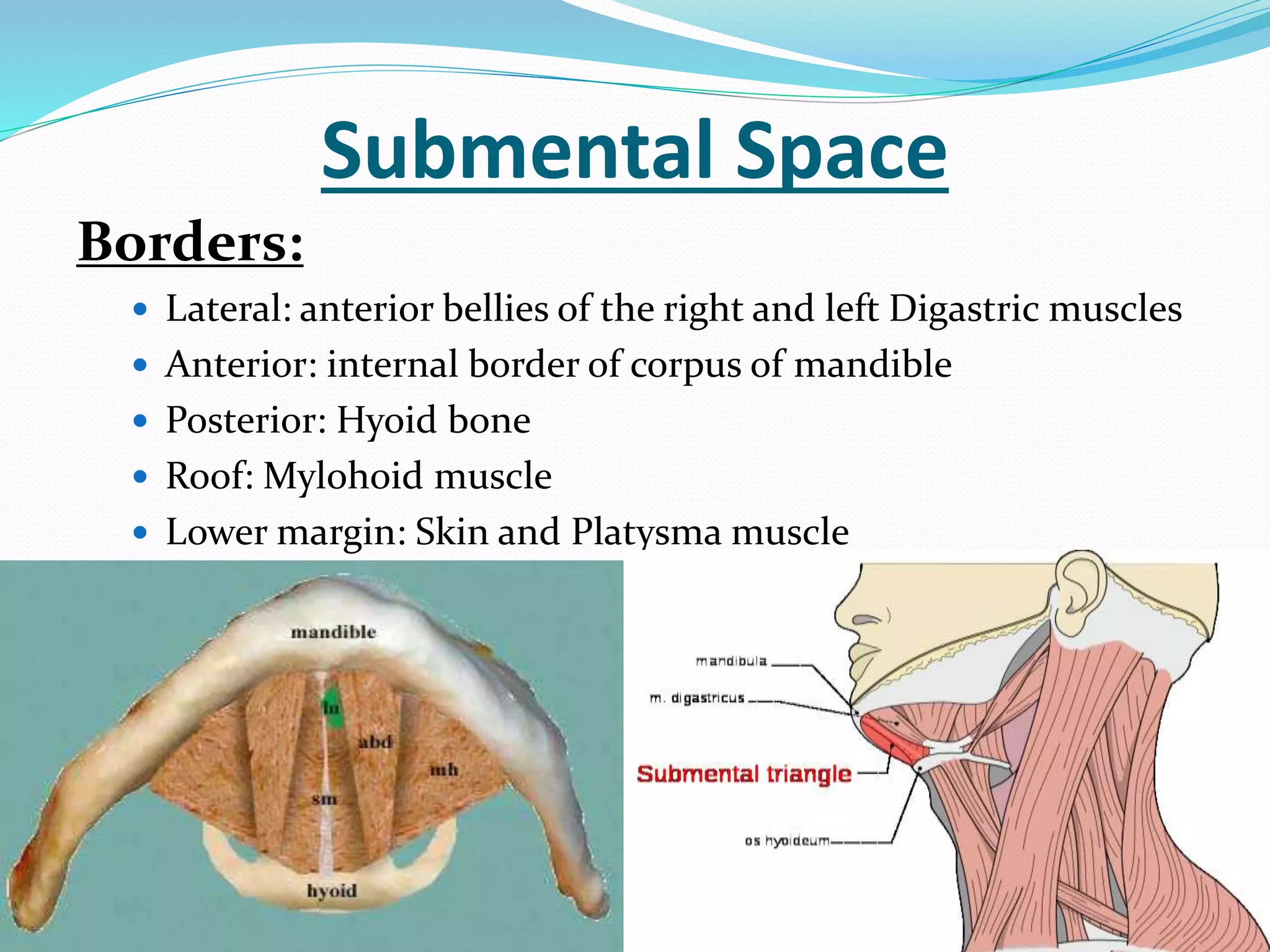 Abscess and phlegmon in maxillofacial region odontogenic infections- | PPSX
