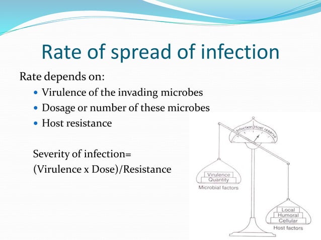 Abscess and phlegmon in maxillofacial region odontogenic infections- | PPSX
