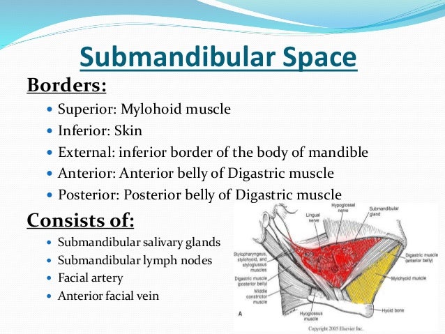 Abscess and phlegmon in maxillofacial region odontogenic infections-