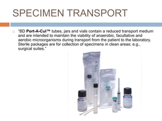 Abscess aspirate specimen analysis final | PPTX