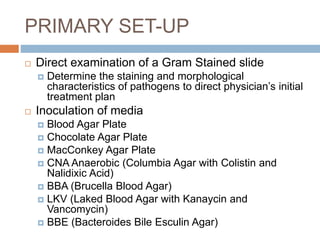 Abscess aspirate specimen analysis final | PPTX