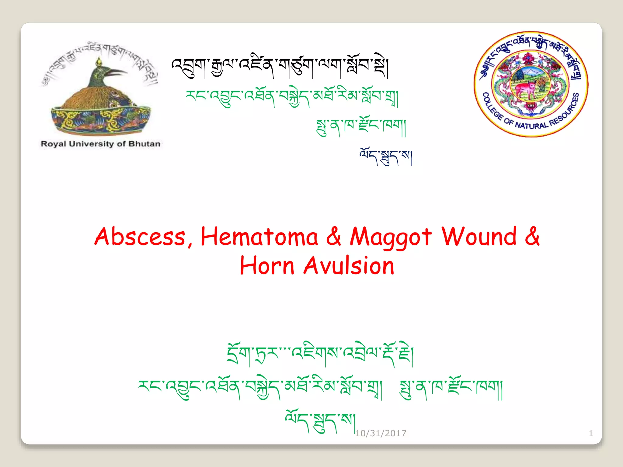Abscess hematoma & maggot wound | PPTX
