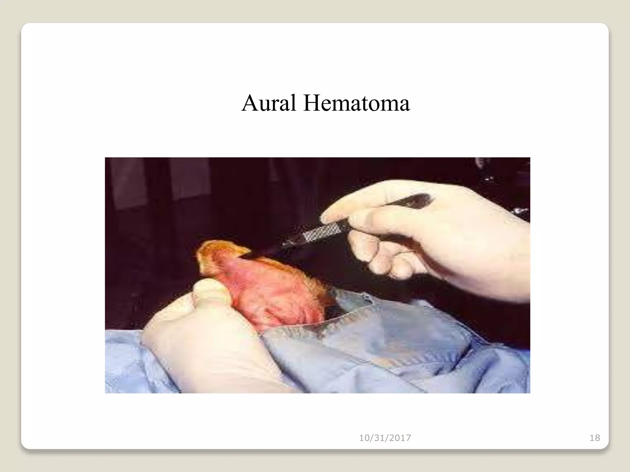 Abscess hematoma & maggot wound | PPTX