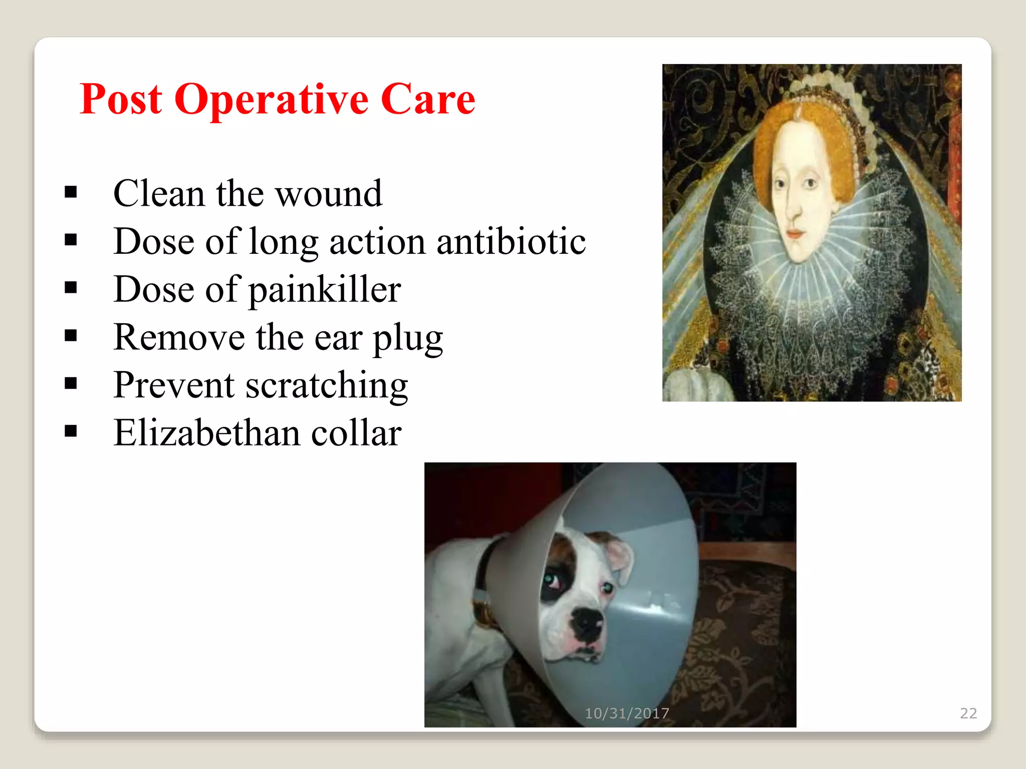 Abscess hematoma & maggot wound | PPTX