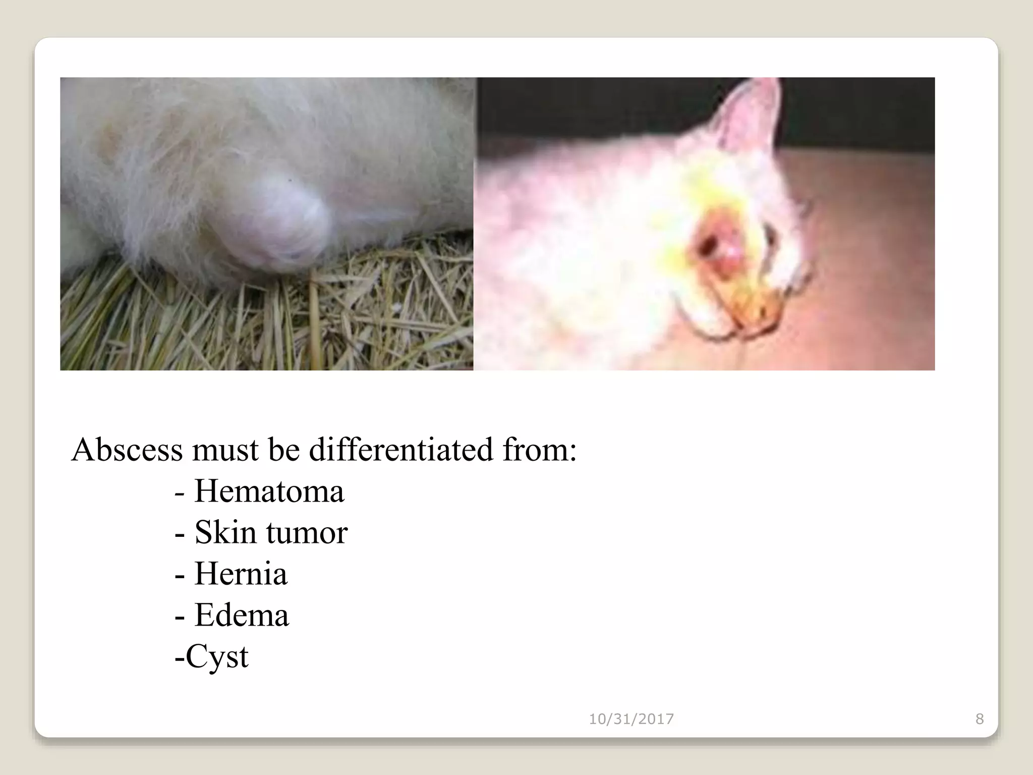 Abscess hematoma & maggot wound | PPTX