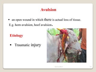 Abscess hematoma & maggot wound | PPTX