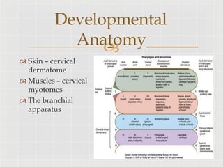 Abscesses in Ent and HEAD, NECK region .pptx