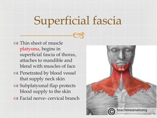 Abscesses in Ent and HEAD, NECK region .pptx