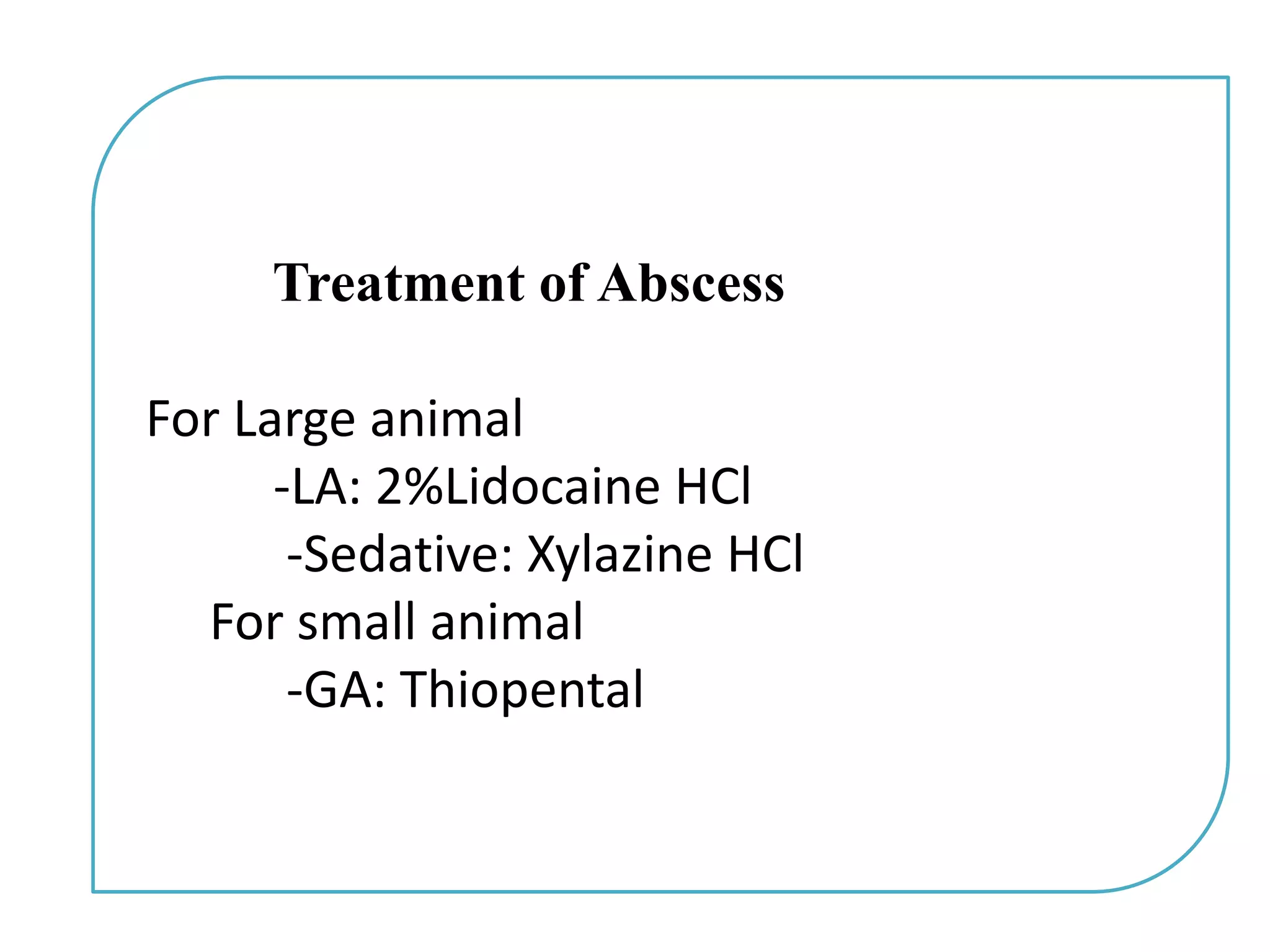 Abscess and its management | PPTX