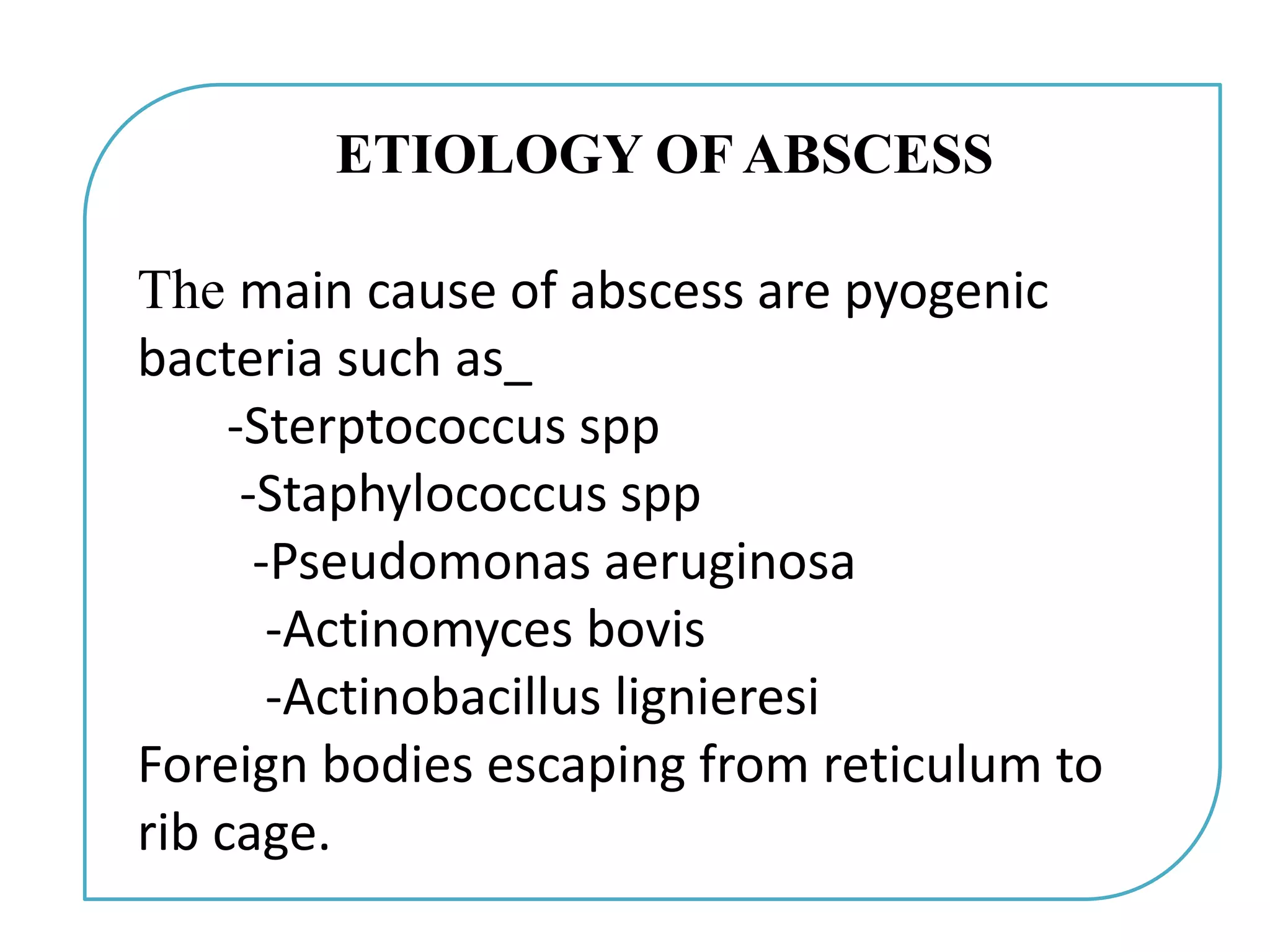 Abscess and its management | PPTX