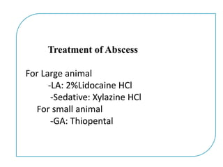 Abscess and its management | PPTX