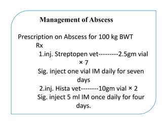Abscess and its management | PPTX