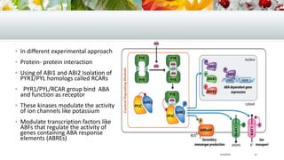 abscisicacid-150512073048-lva1-app6892.pdf