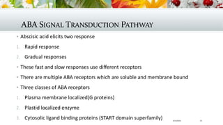 Abscisic acid | PPTX
