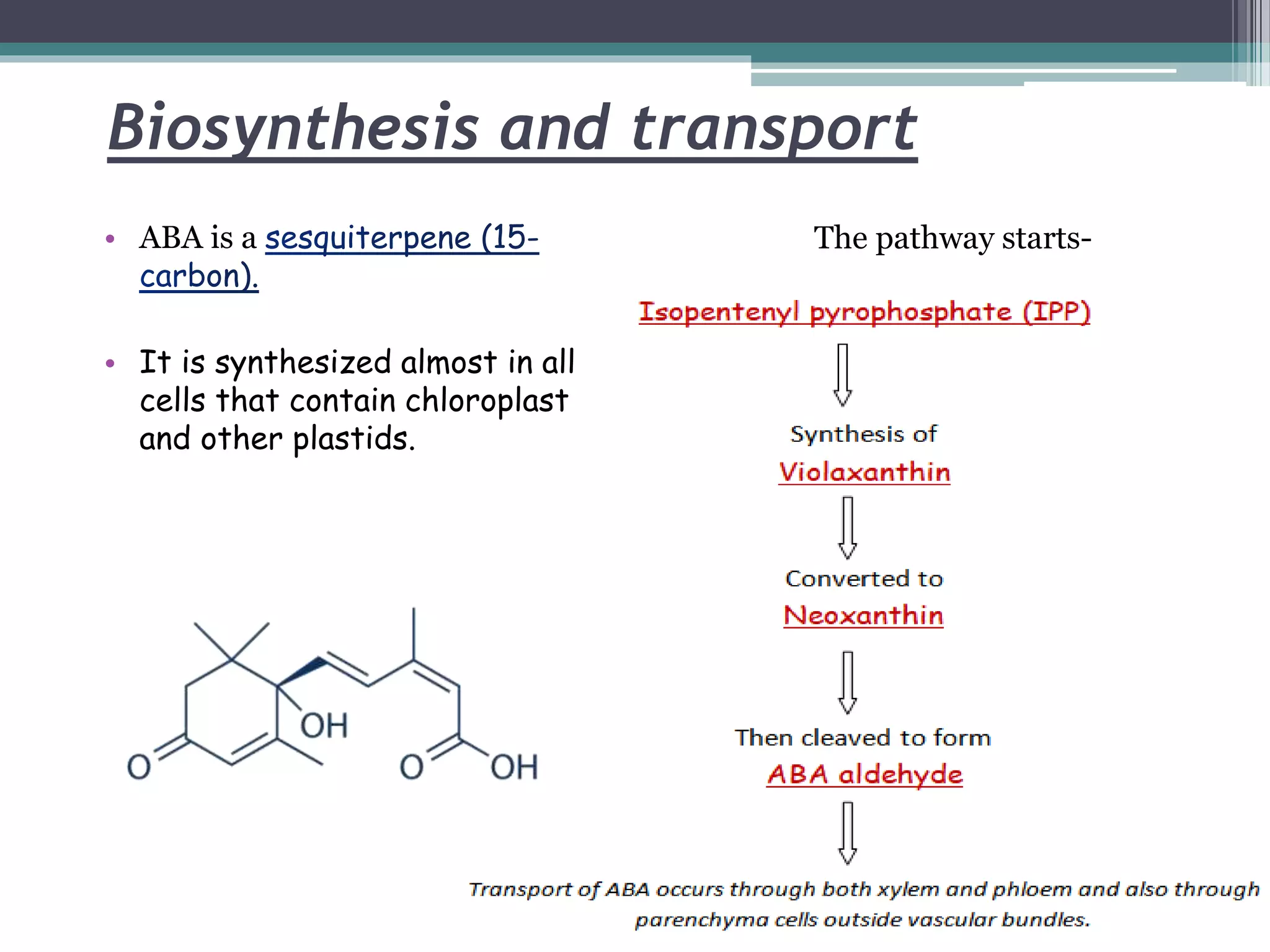 Plant hormone (Part-4)- Abscisic acid | PPTX