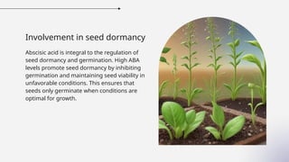 Abscisic Acid - A essential plant stress hormone | PPT