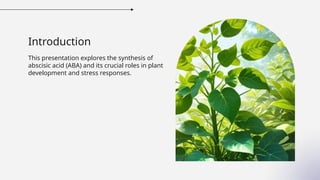 Abscisic Acid - A essential plant stress hormone | PPTX