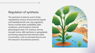 Abscisic Acid - A essential plant stress hormone | PPT