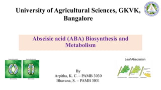 Abscisic acid - Biosynthesis, Metabolism, Signal Perception ...