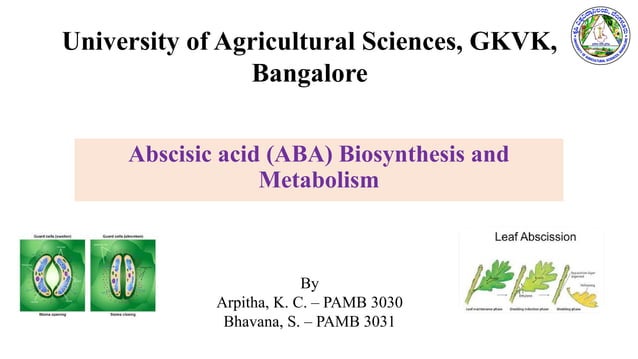 Abscisic acid - Biosynthesis, Metabolism, Signal Perception & Transduction.pptx