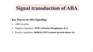 Abscisic acid - Biosynthesis, Metabolism, Signal Perception ...