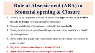 Abscisic acid - Biosynthesis, Metabolism, Signal Perception ...
