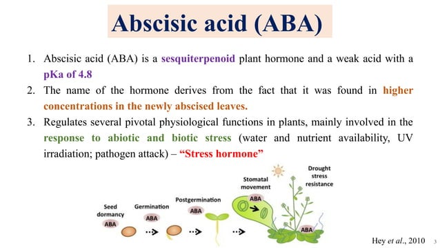 Abscisic acid - Biosynthesis, Metabolism, Signal Perception ...