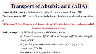 Abscisic acid - Biosynthesis, Metabolism, Signal Perception ...