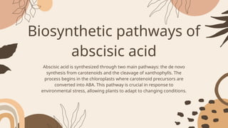 Abscisic Acid synthesis and role in plants. | PPTX